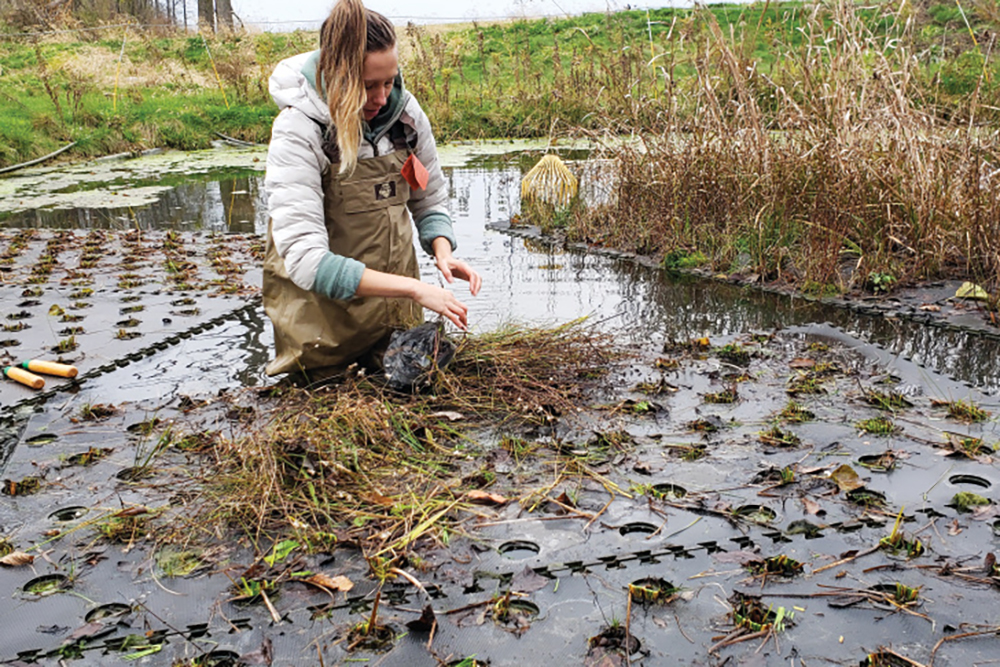 Significant Investments Work to Improve Michigan Water Quality - Farm ...