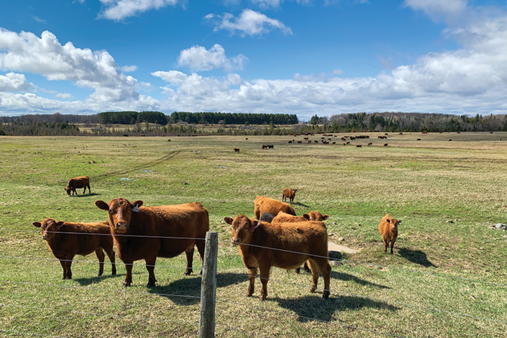 Upper Peninsula Research and Extension Center Lifts Michigan Ag U.P ...