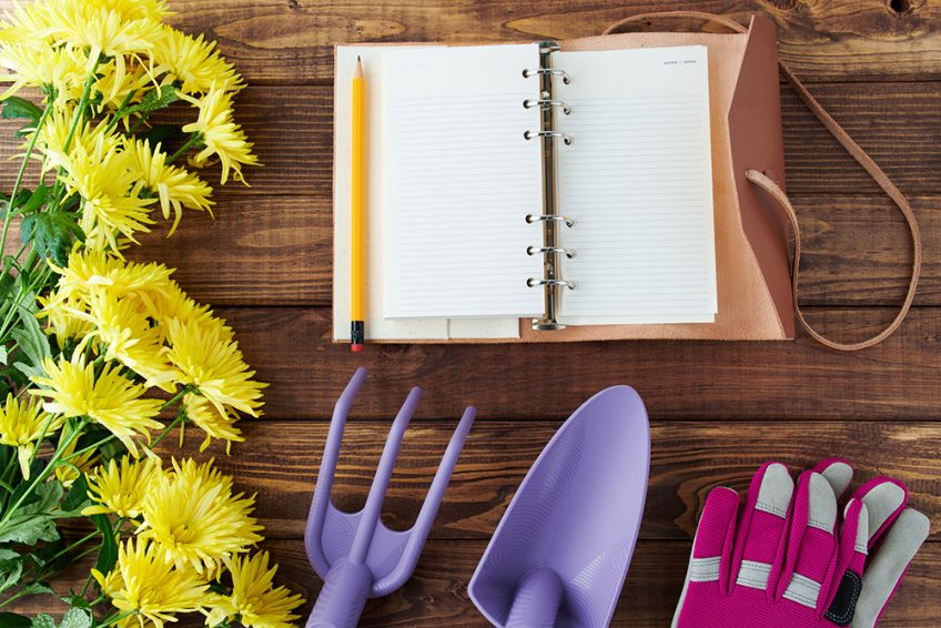 February Gardening Tasks According to Your USDA Growing Zone - Farm Flavor