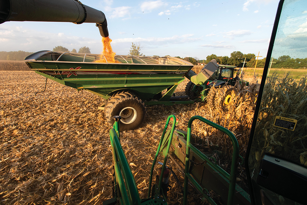 How Tennessee Farmers Are Navigating Farmland Preservation - Farm Flavor