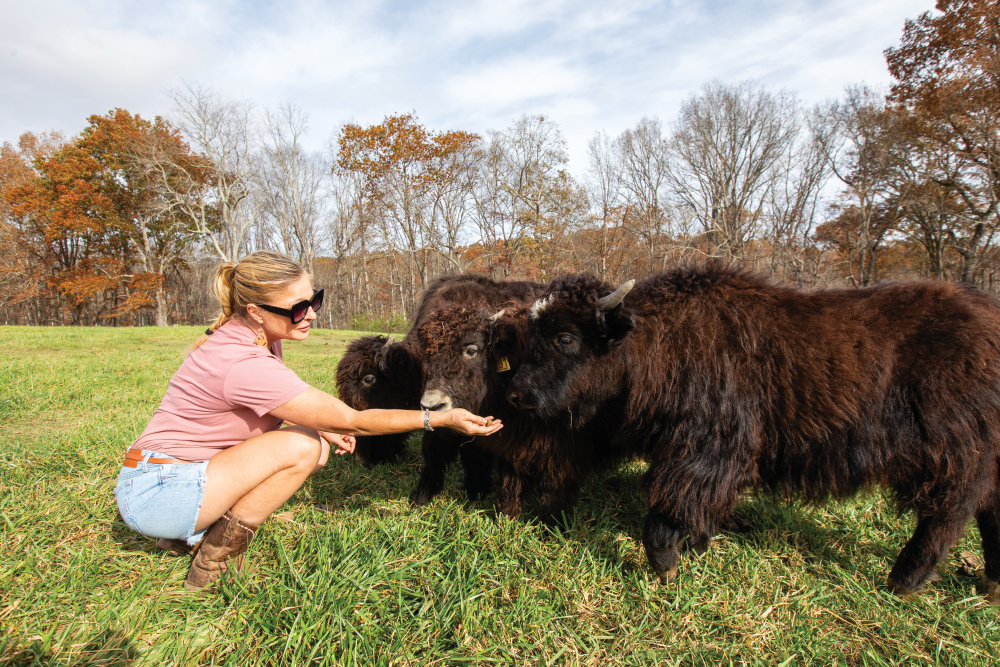 Deep Draw Yak Ranch in Tennessee Offers a Unique Agritourism Experience ...