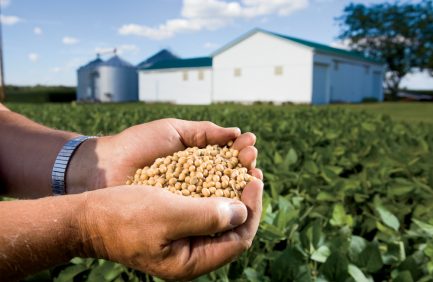 Tennessee Agriculture - Farm Flavor