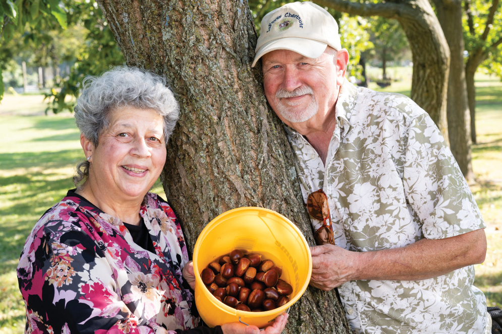 Find Fresh, Local Chestnuts From Producers Across Michigan - Farm Flavor