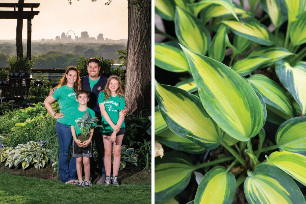 Hostas on the Bluff Grows More than 500 Types of Hostas in Illinois ...