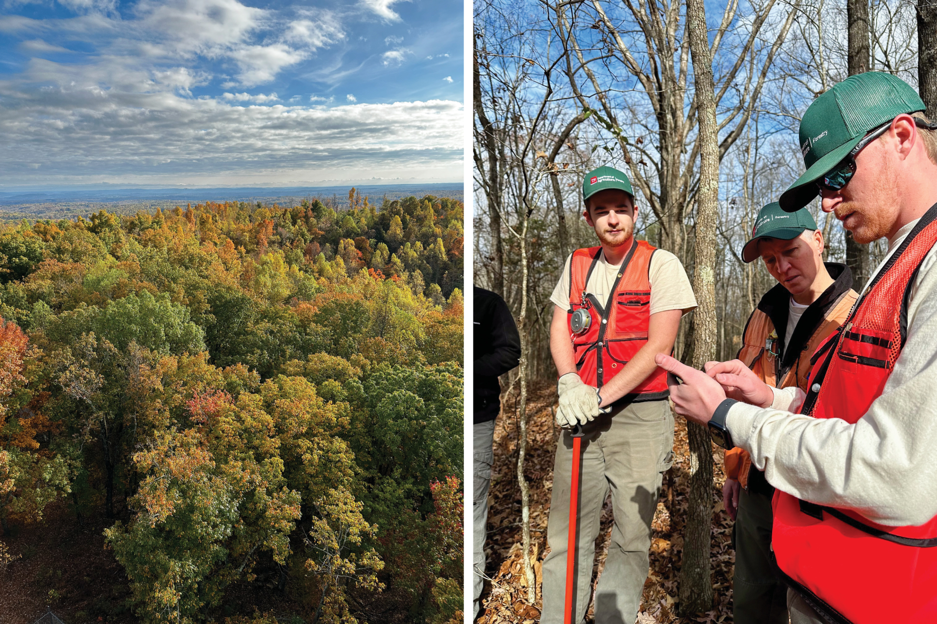 Sustainable Management Practices Protect Tennessee State Forests - Farm ...