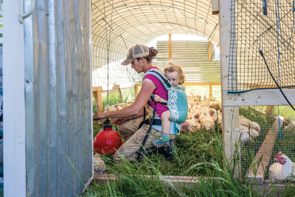 Virginia Farmers Are Champions of Conservation - Farm Flavor