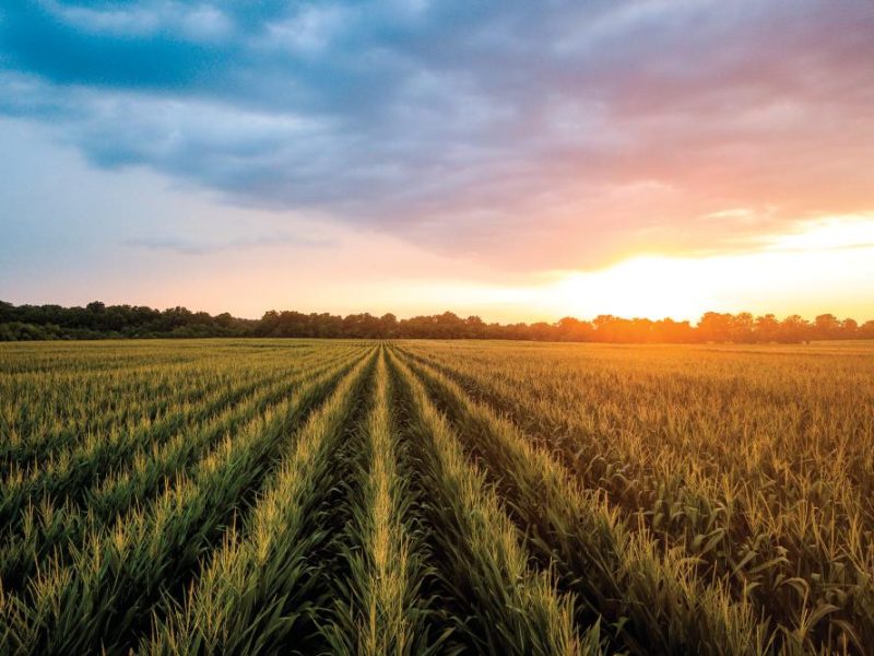 Agricenter International Celebrates 45 Years of Conservation and ...