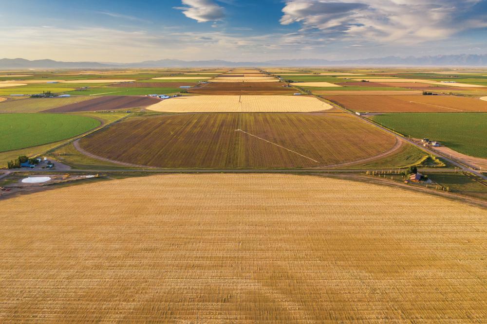 Colorado Water Conservation Board Promotes Agricultural Focus in 10 ...