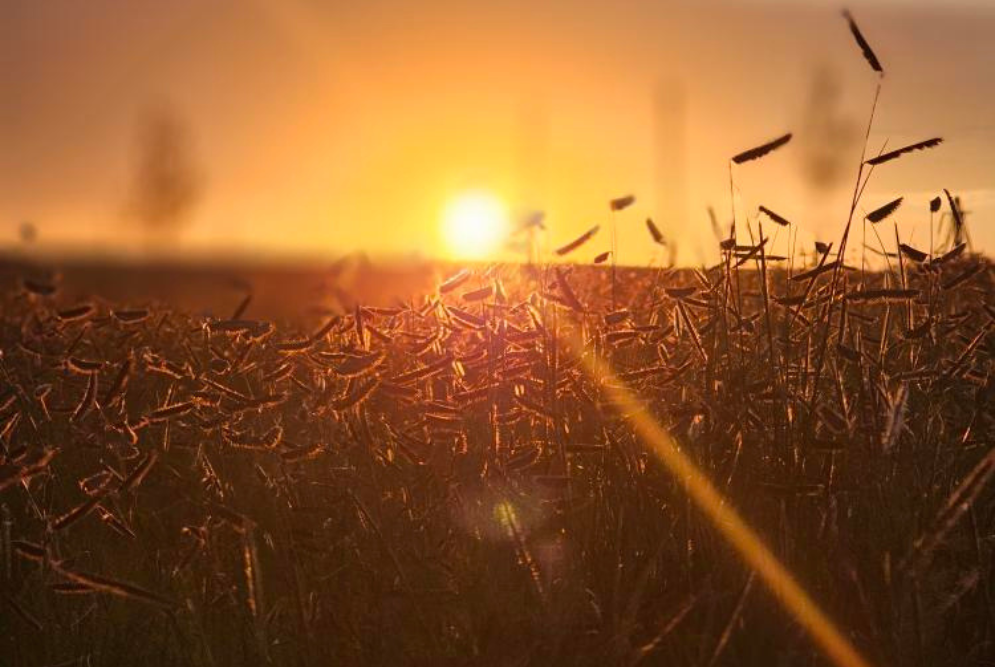 Colorado Water Conservation Board Promotes Agricultural Focus in 10 ...