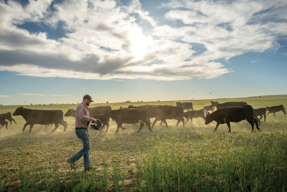 Farmers and Ranchers Work to Preserve Soil Health for the Future of ...