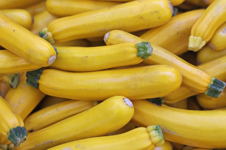 Types of Summer Squash and How to Use Them - Farm Flavor