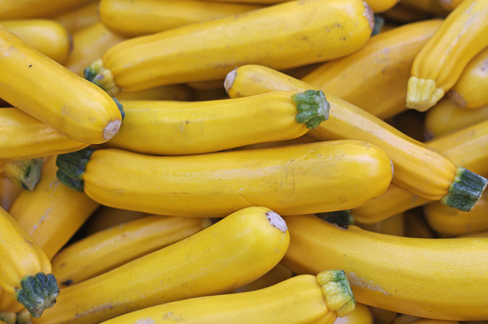 Types of Summer Squash and How to Use Them - Farm Flavor