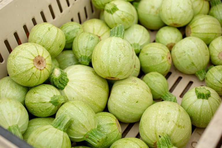 Types of Summer Squash and How to Use Them - Farm Flavor