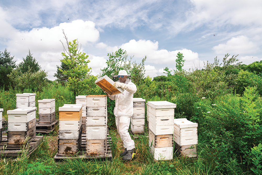 Wisconsin Honey Producers Praise Benefits of Local Honey - Farm Flavor