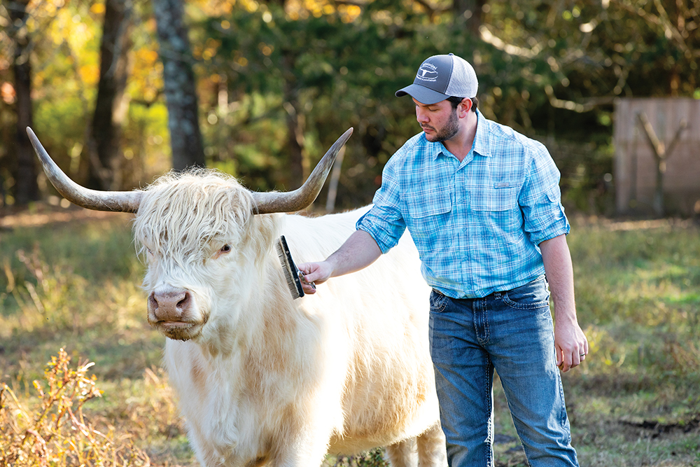 Cool Creek Farm in Mississippi Raises Highland Cattle and Other ...