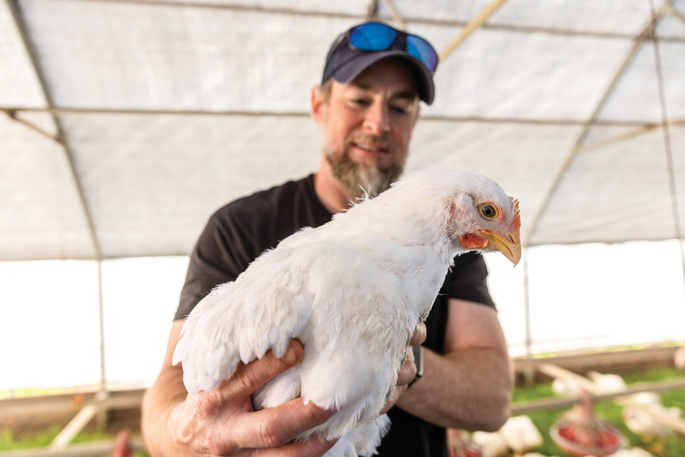 GO TEXAN Partner Greener Pastures Chicken Raises Poultry Regeneratively ...