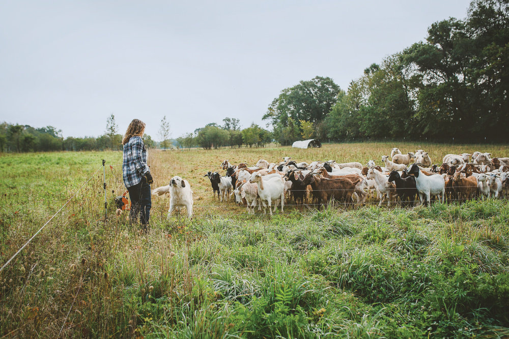 The Wisconsin Meat Industry Relies on Local Professionals and ...
