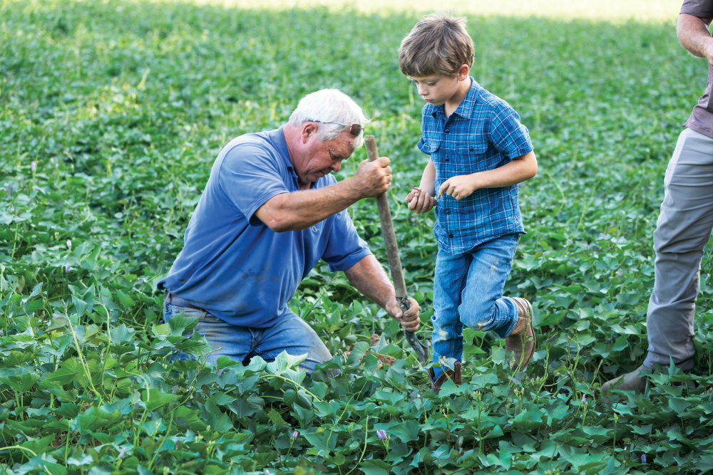 David Bowen Shares His Agriculture Story as The Southern Farmer - Farm ...