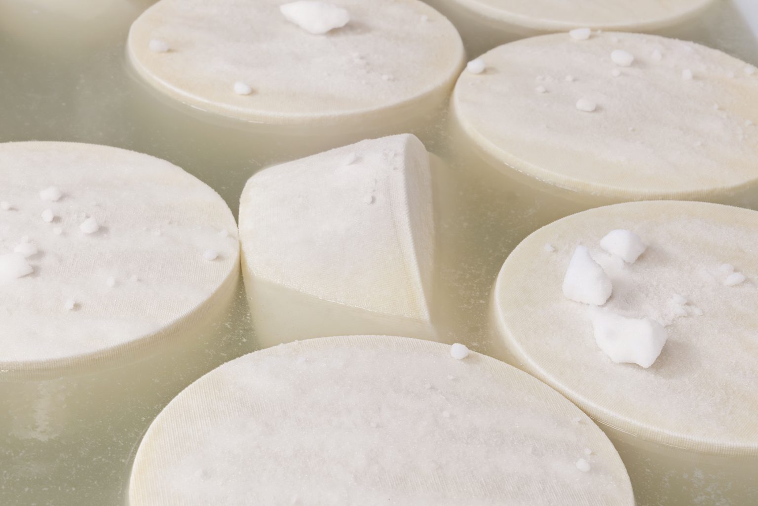 Whey To Go, Massachusetts Dairy Farms - Farm Flavor