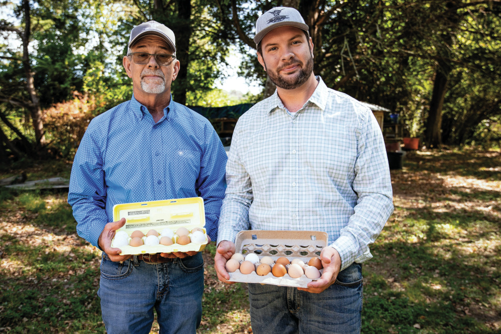 Cool Creek Farm in Mississippi Raises Highland Cattle and Other ...
