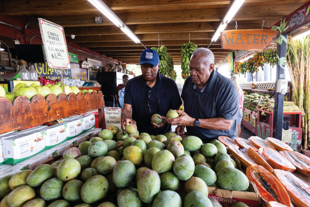 Florida Fruit Stand, Robert Is Here, Wows Visitors With Exotic Fruit