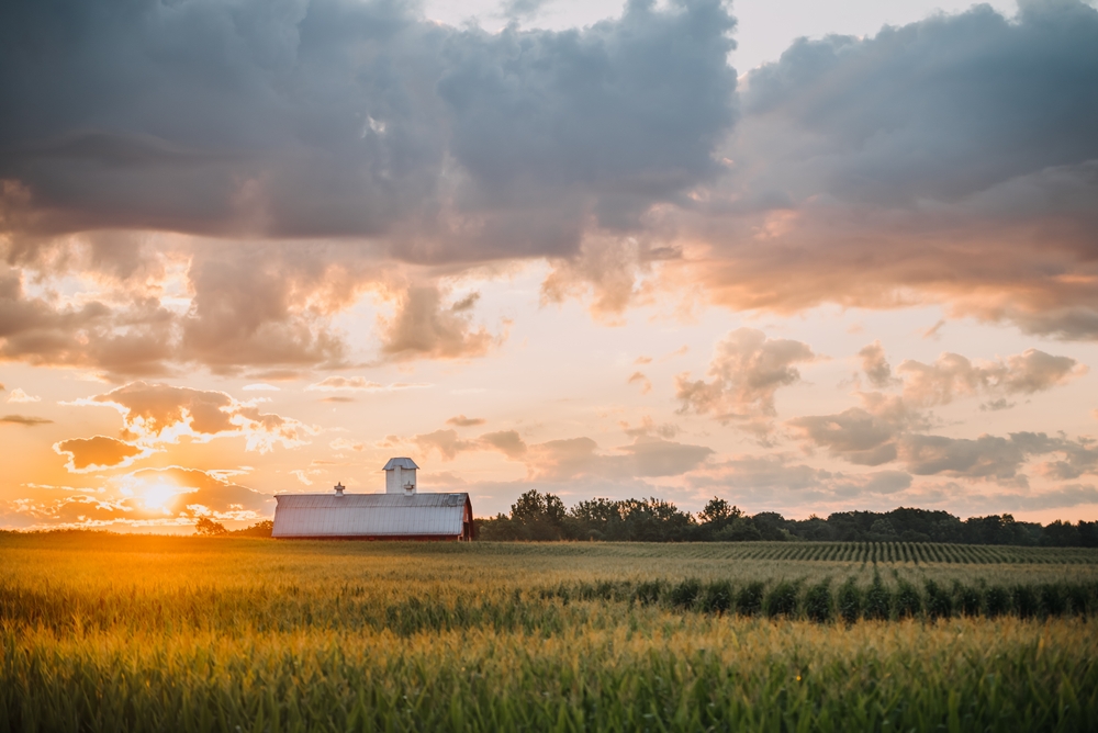 The Impact of Trade Wars on U.S. Agriculture - Farm Flavor