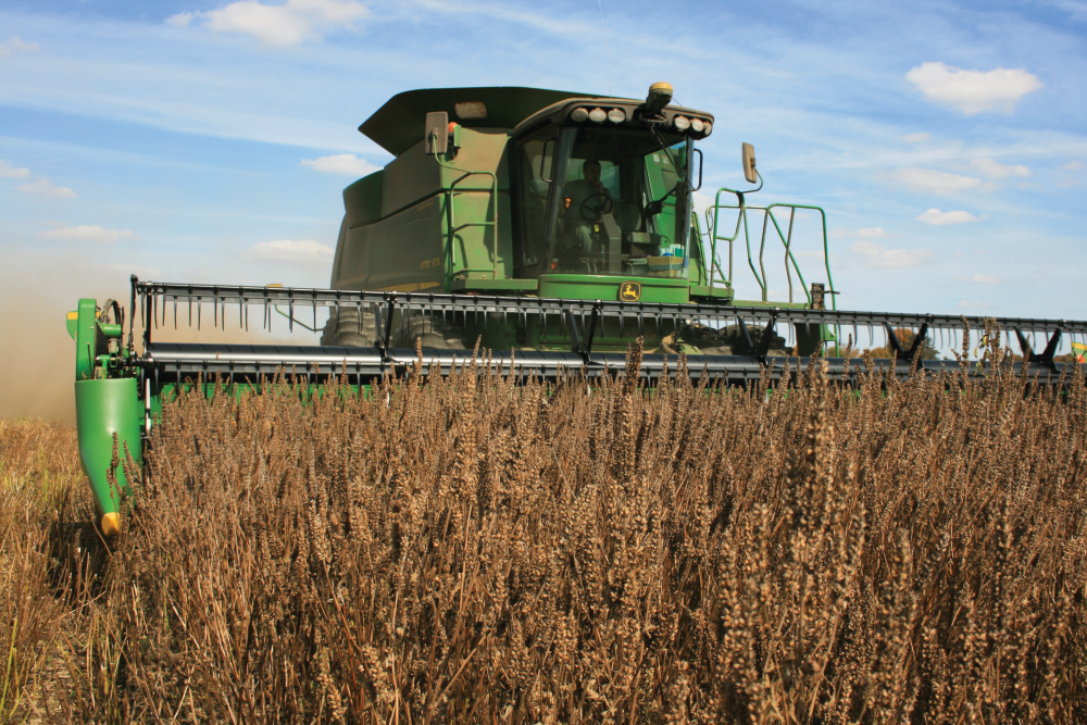 Heartland Chia Cultivates the First U.S.-Grown Chia Seeds - Farm Flavor