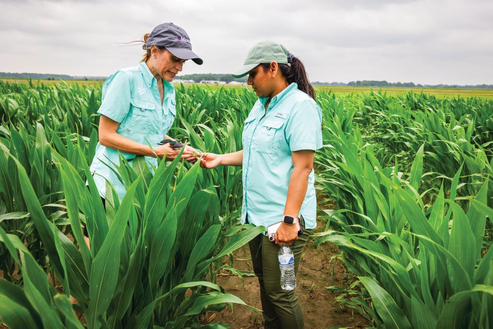 Valent U.S.A. Has Deep Roots in the Mississippi Delta - Farm Flavor