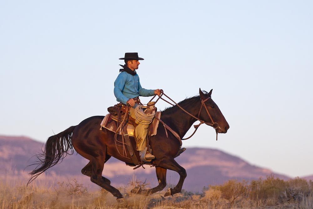 Cowboy Core and the Comeback of the Wild Rag Scarf - Farm Flavor
